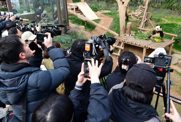 Goodbye Fu Bao!...Koreans bid farewell to beloved Panda born in S. Korea