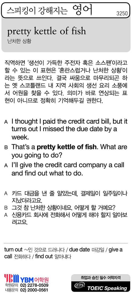 [스피킹이 강해지는 영어] pretty kettle of fish