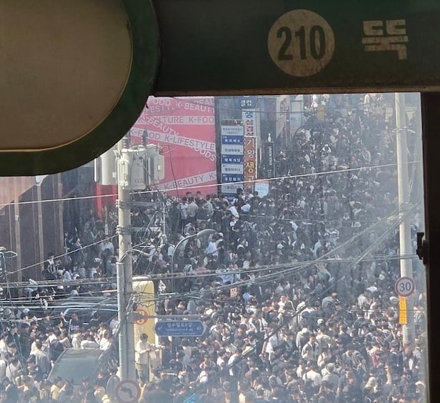 Pokémon Mega Festa Suspended Due to Overcrowding